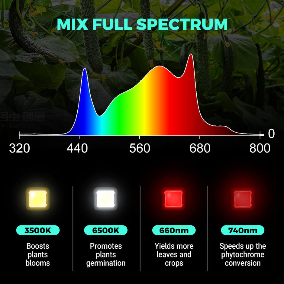 LED Grow Lights, full-spectrum grow light | Phlizon Official Store ...